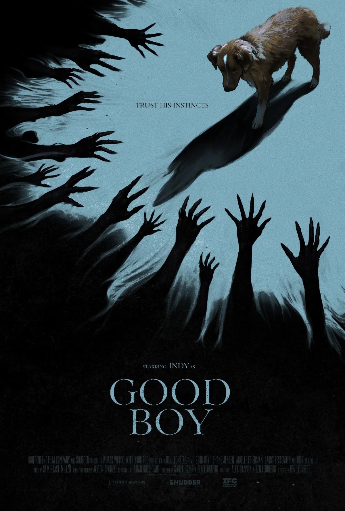 Good Boy (2025): Kritik zum Film – Der Horror kommt auf vier Pfoten ...
